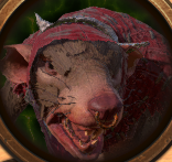 skavenslaves fur visual glitch - Total War: WARHAMMER