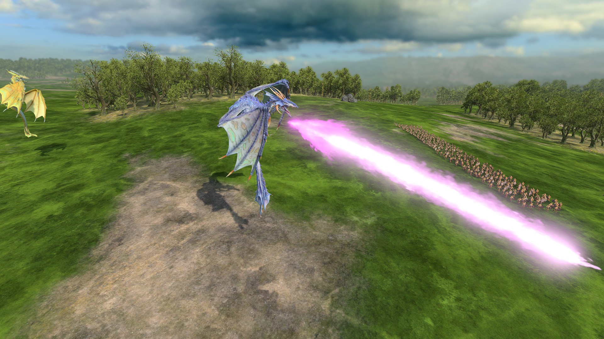 Dragon breath attacks doesn't match animation only on "feral dragons ...