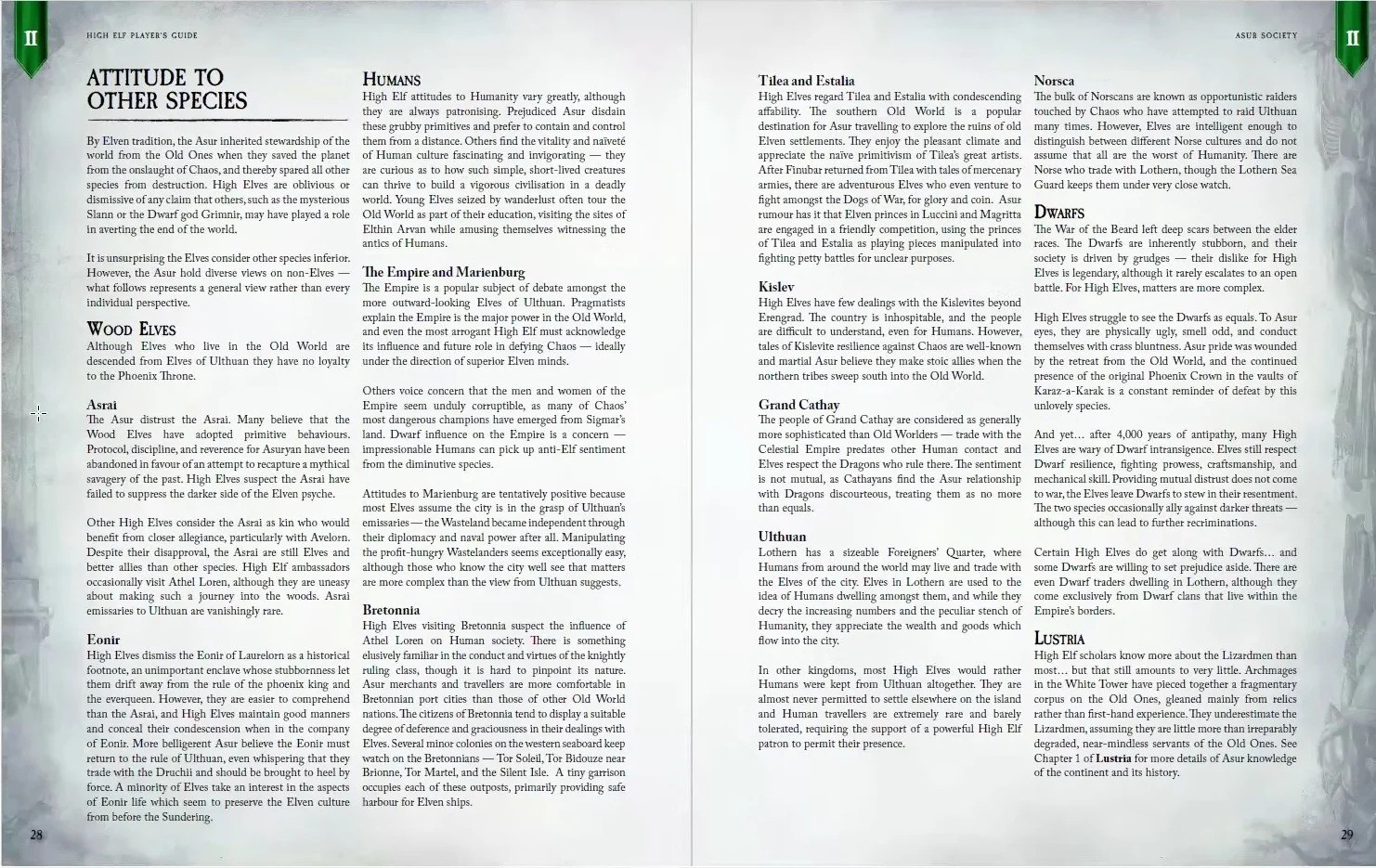 High Elves view on other factions - Total War: Warhammer