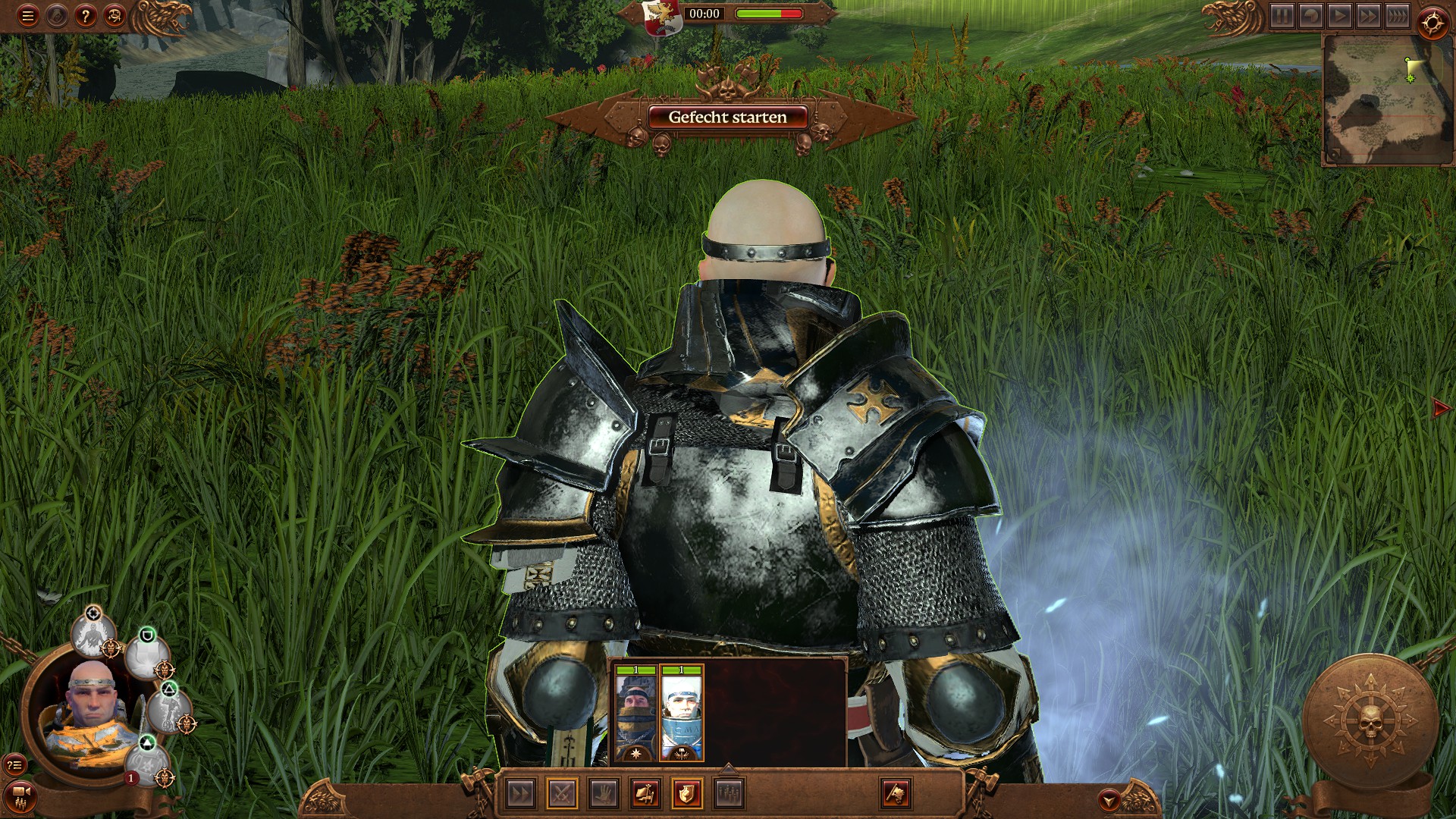 Texture bug: Warrior Priest - Total War: WARHAMMER