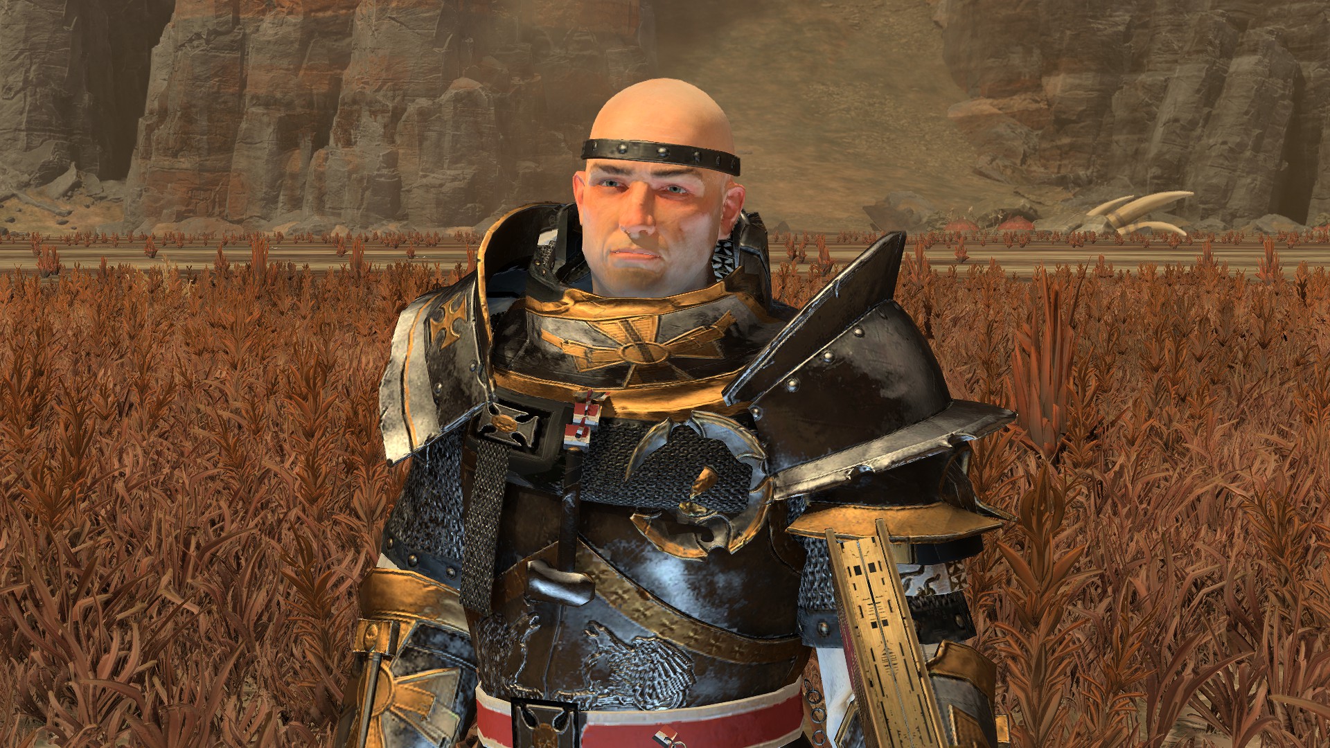 Sigmar's Warrior Priest Hero armor has a bug - Total War: Warhammer